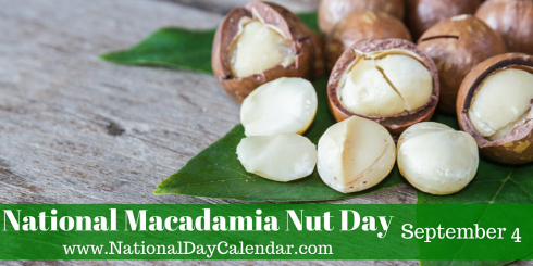 The PA-IN-Erudition: 2015-08-30