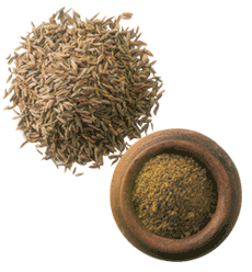 LA NUEVA CARAVANA: EL COMINO