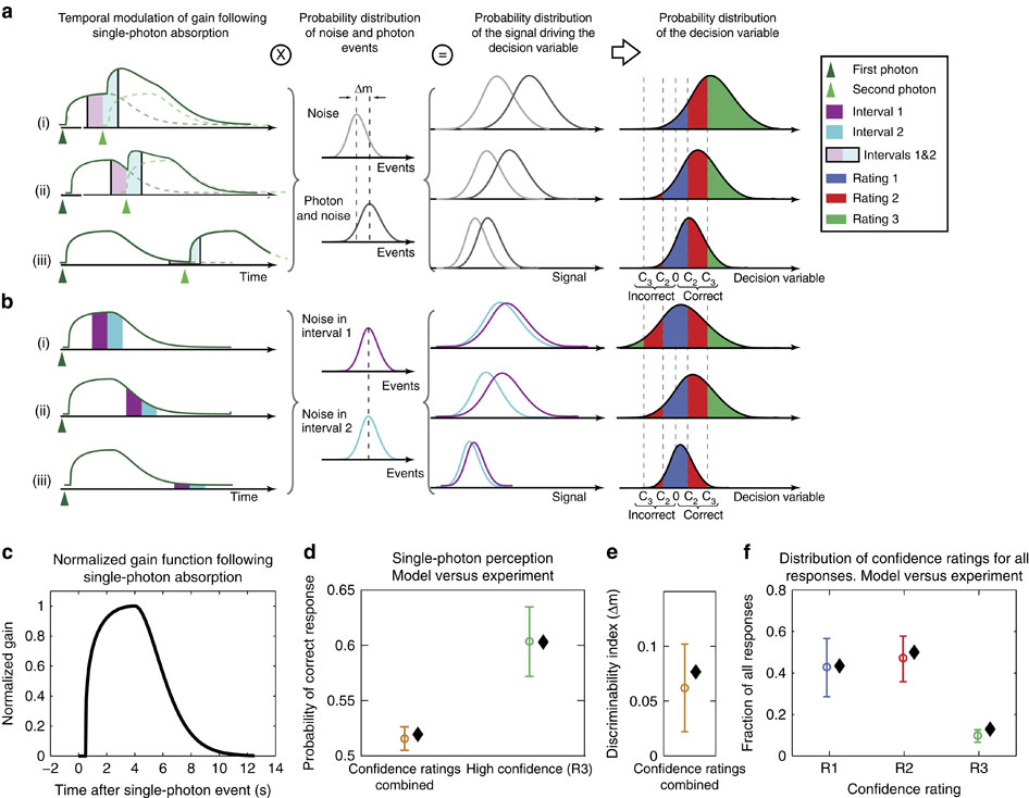 Image Sensors World Single Photon Detection By Human Eye