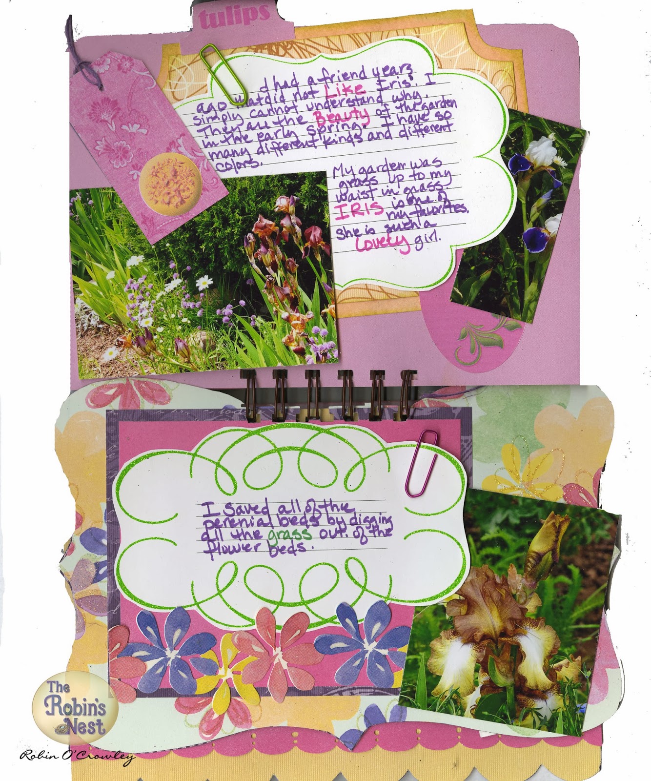 Robin's Creations of Joy: Spring Flowers Mini Book