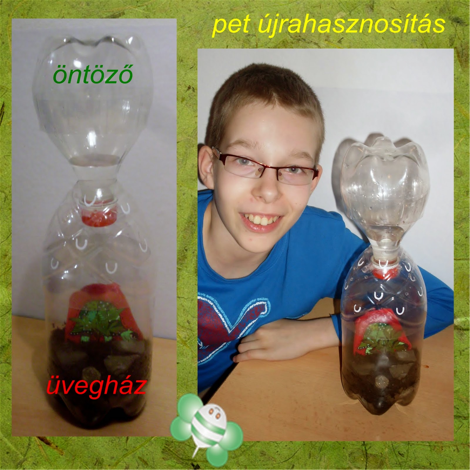 Kreatív világ: Kísérletezzünk a gyerekekkel, mini üvegház....Pet-palack újrahasznosítással