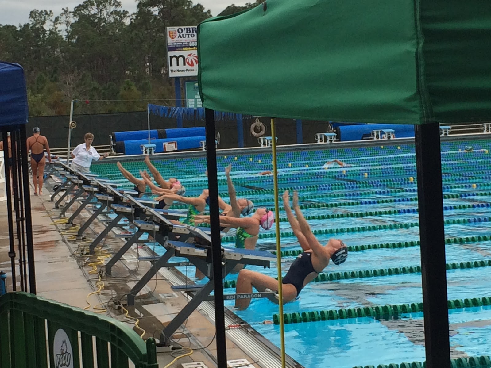 SCF Sports: Home Meet+Senior Day+FGCU Swimming and Diving= The End of ...