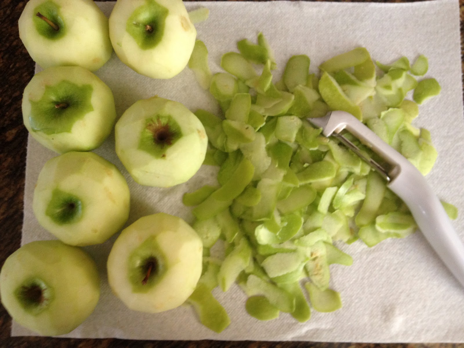 Two Cooks and One Kitchen: Applesauce
