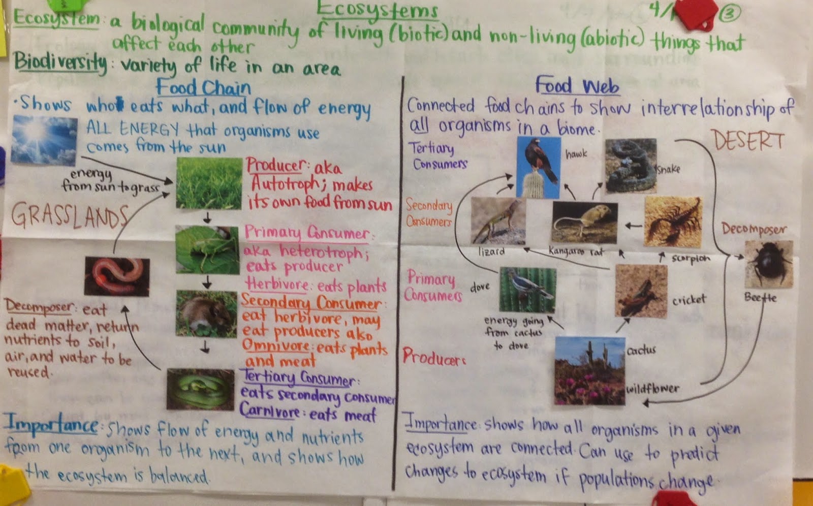 Mrs. Paul - Biology: 10th Grade BIology Notes - Charts 2014-2015
