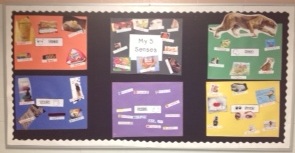Unique Curriculum - Elementary: 5 Senses Bulletin Board