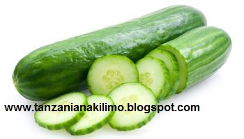 KILIMO BORA CHA MATANGO - TANZANIA NA KILIMO