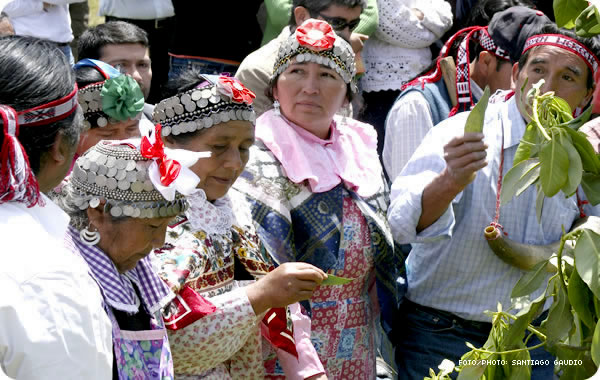 ΠΡΟΣΕΛΗΝΕΣ: The MAPUCHE Nation in Araucania
