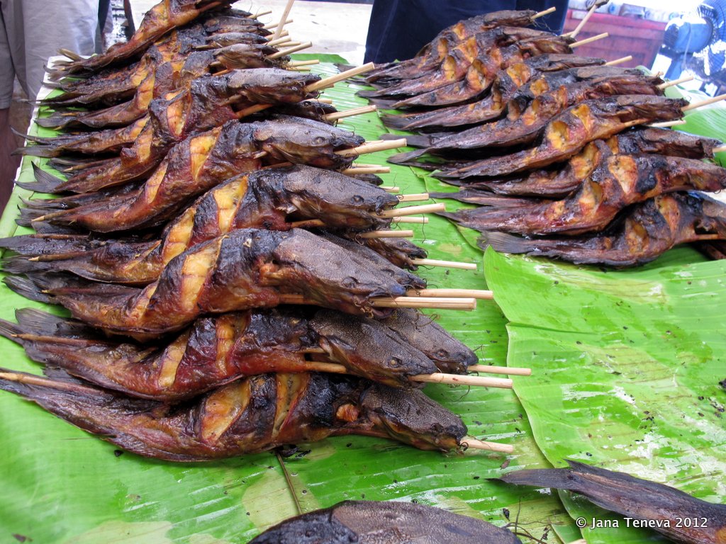 Jana around the world: Bangkok's biggest fresh market: Klong Toey ...
