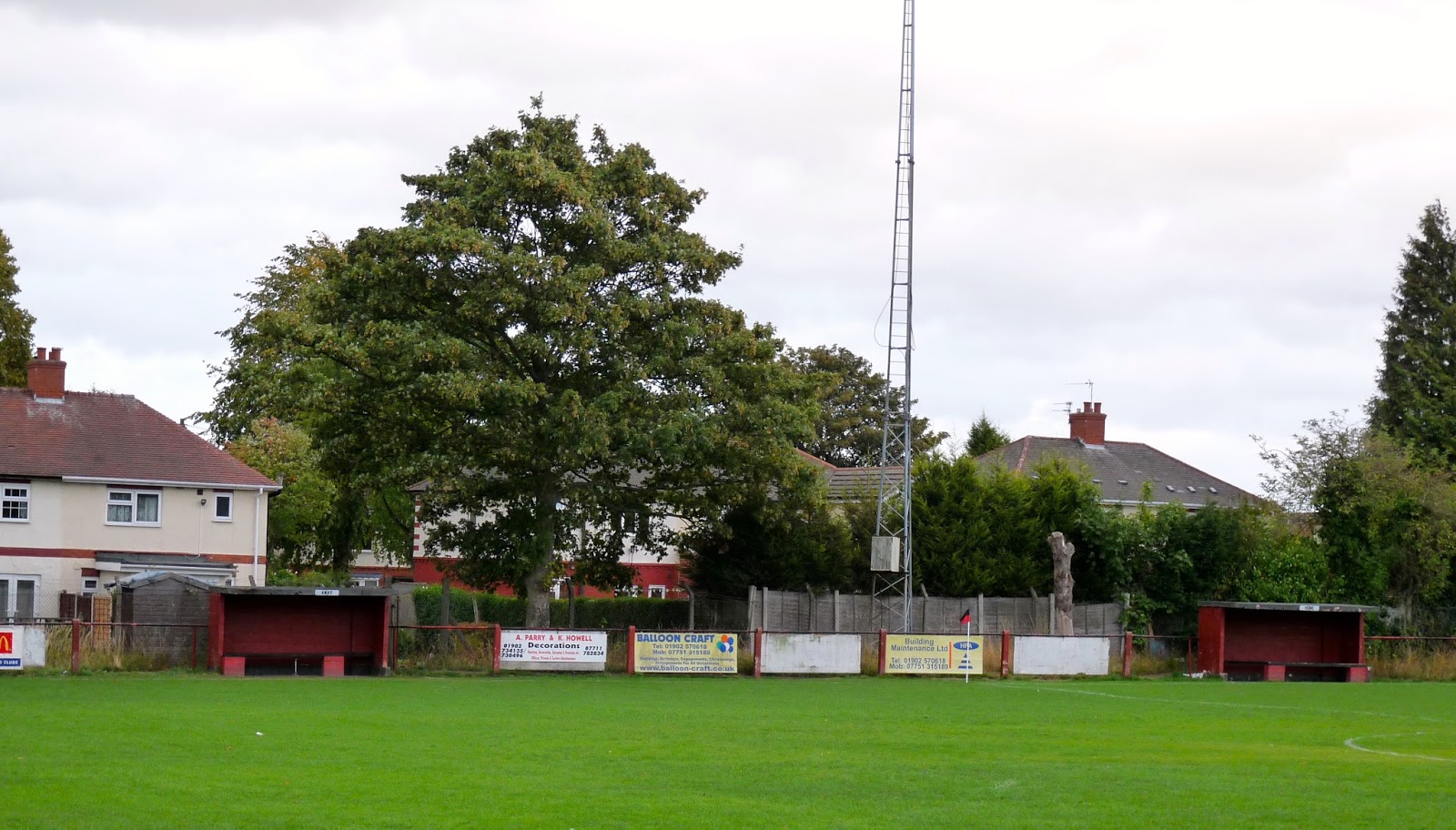 The Mowdog On The Road...: WEDNESFIELD FC, MY ONLY VISIT IN 2011-12: A ...