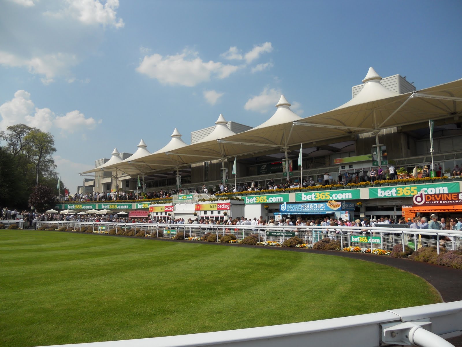 Back to Berlin...and BEYOND: The English Horse Races!