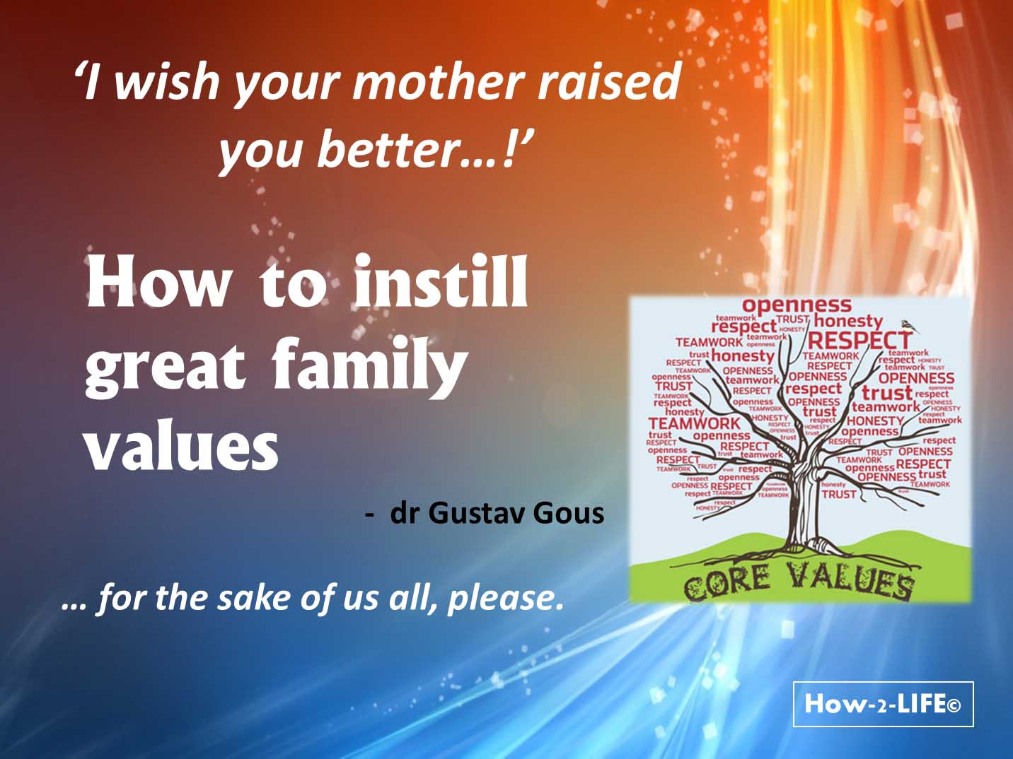 The Gustav Gous blog: I wish your mother raised you better! How to ...