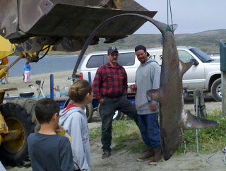 Dillon Beach Fishing