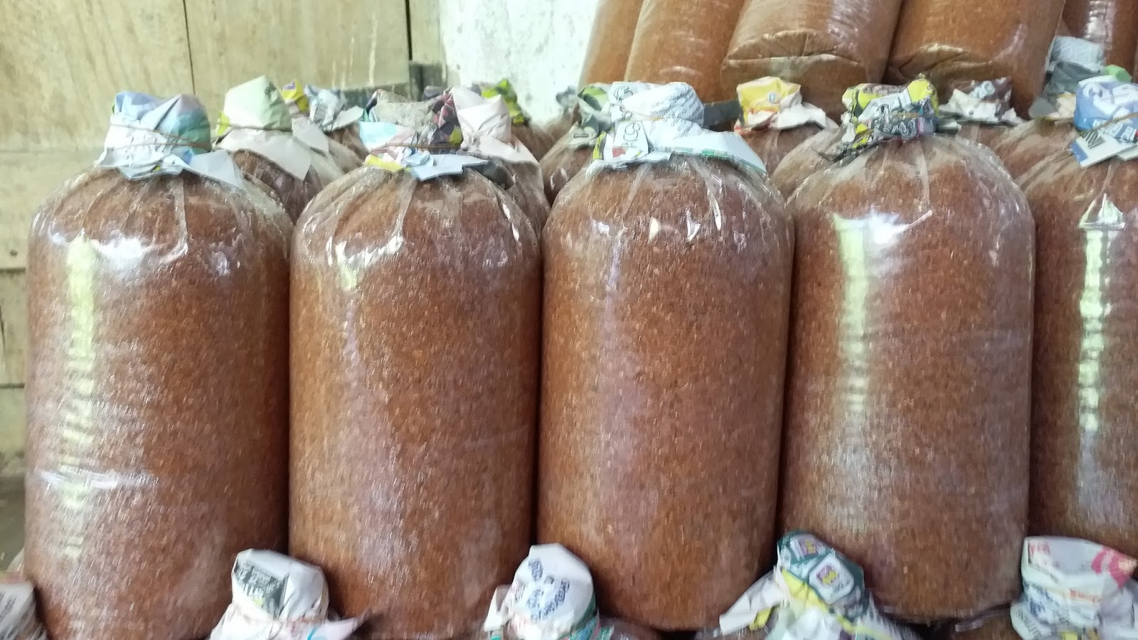 Agriculture of Sri Lanka: Muthubeli Bimmal Pleurotus ostreatus ...