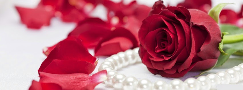 Beautiful Rose Cover Photos For Facebook Timeline