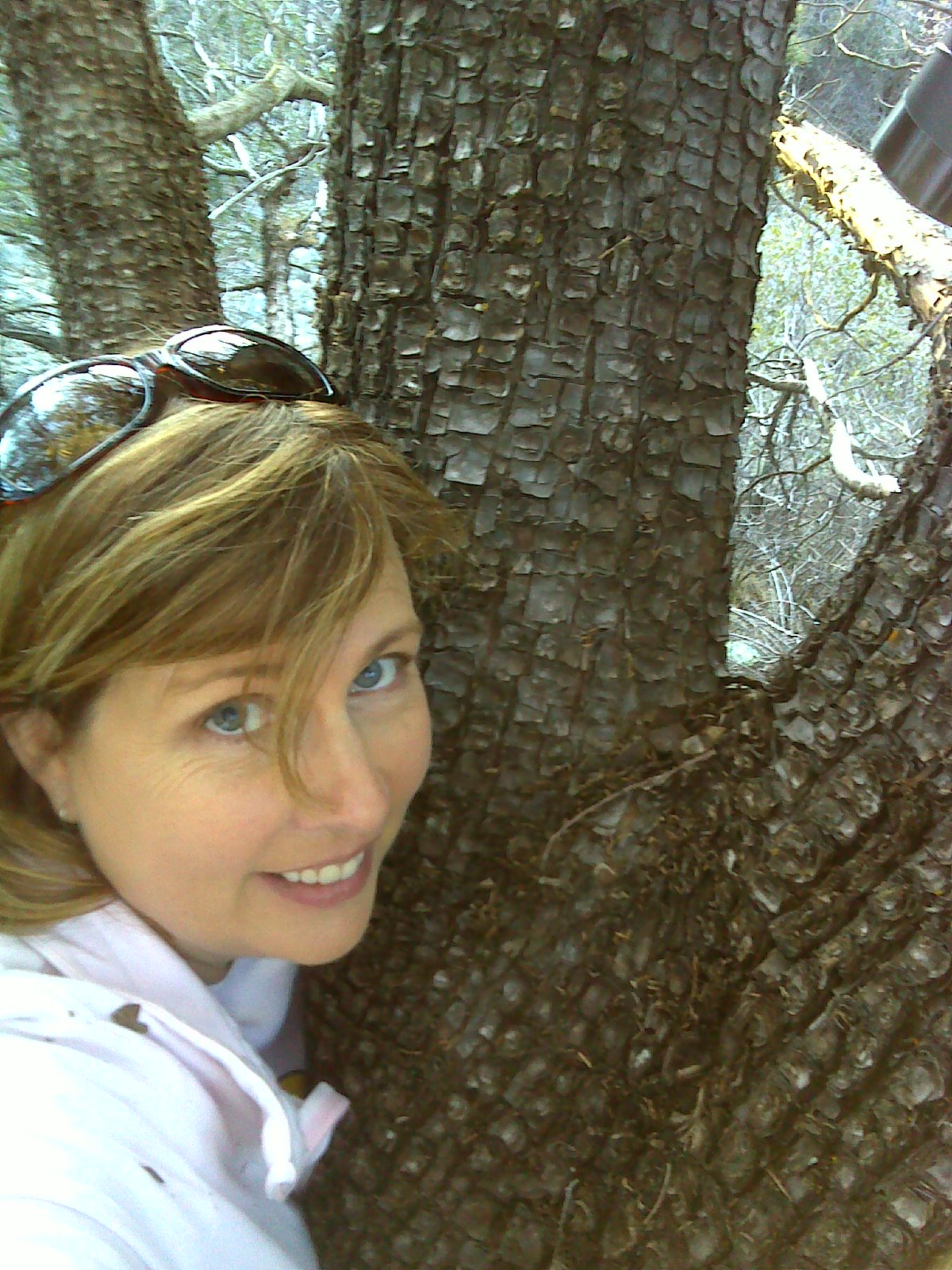 Geocaching in Arizona