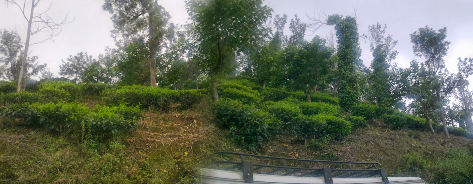 Srinivazen: Manimuthar falls, Kakachi, Manimuthar dam, Kuthiravetti tour