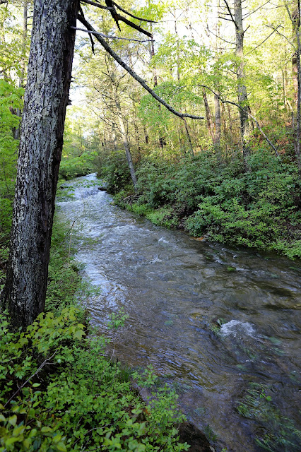 Sweet Southern Days: On The Road Again