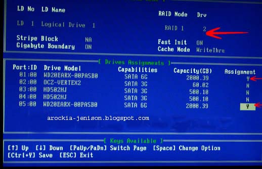 Technical World :: Set Up A RAID 0 Drive (Array) in Windows 7 – Example ...