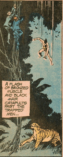 Slay, Monstrobot of the Deep!!: Friday Night Fights--A Tiger?!? In ...