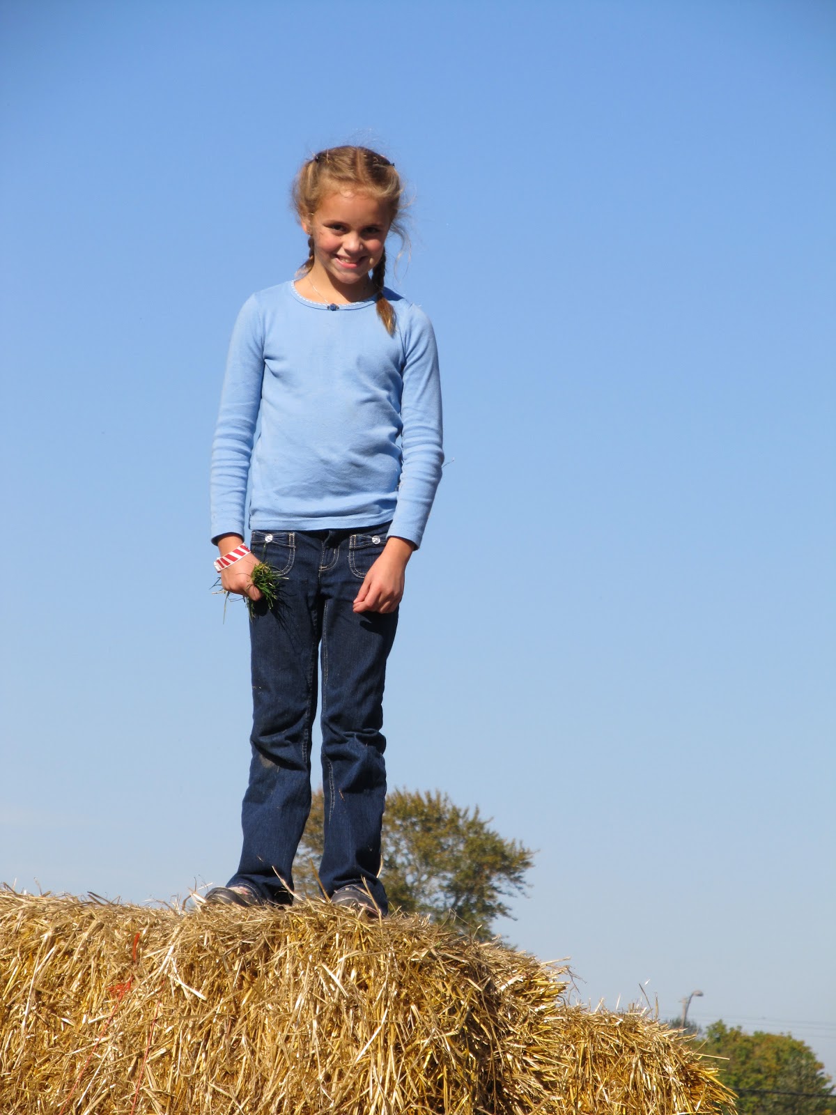 Our Class Projects: Class Field Trips