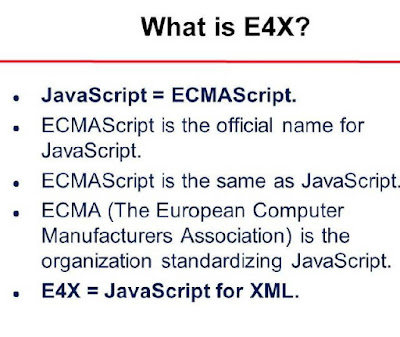 E4X Most Common Interview Questions Answers