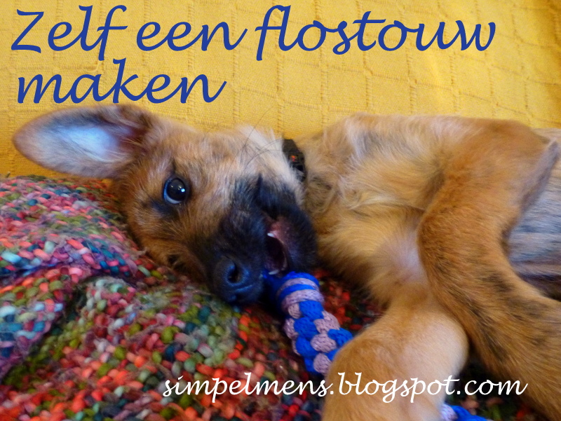 SimpelMens: Zelf speelgoed maken voor je puppy