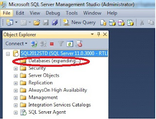 SCRIPTS EM SQL: SQL Studio Management - Expanding Databases muito lento.