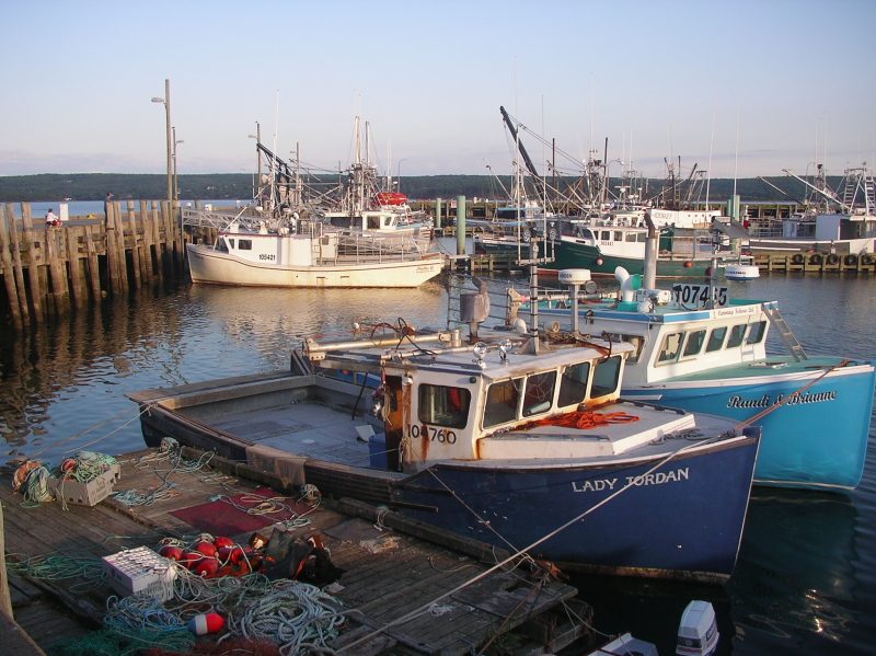 GollyGeeGosh: Nova Scotia - Digby