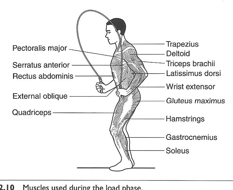CUALIDADES DEL SALTO DE COMBA