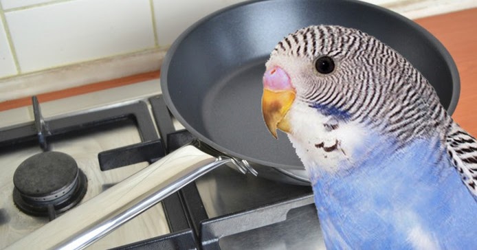 Schildersverdriet: Teflon-Mark