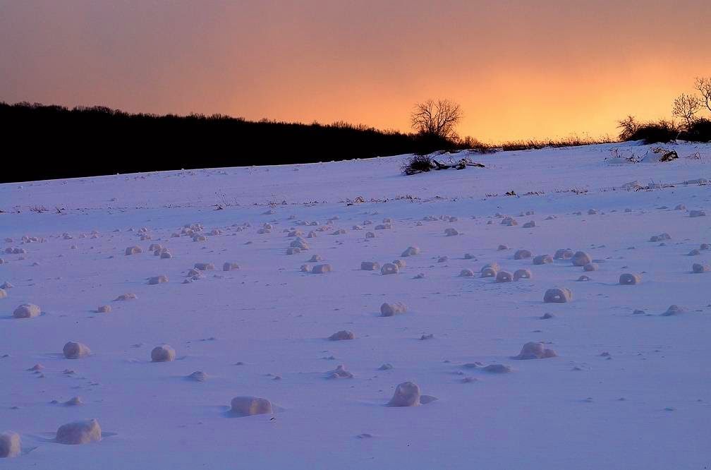 Snow Rollers: Nature’s Winter Treat ~ Kuriositas