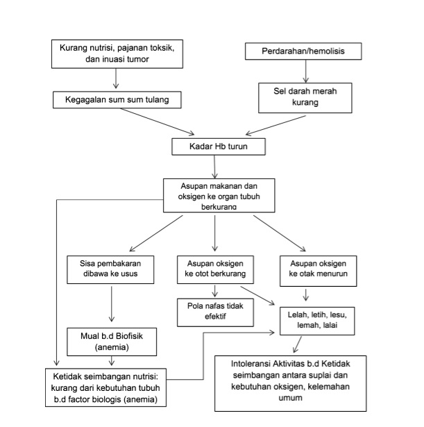 LAPORAN PENDAHULUAN ANEMIA | Share Keperawatan