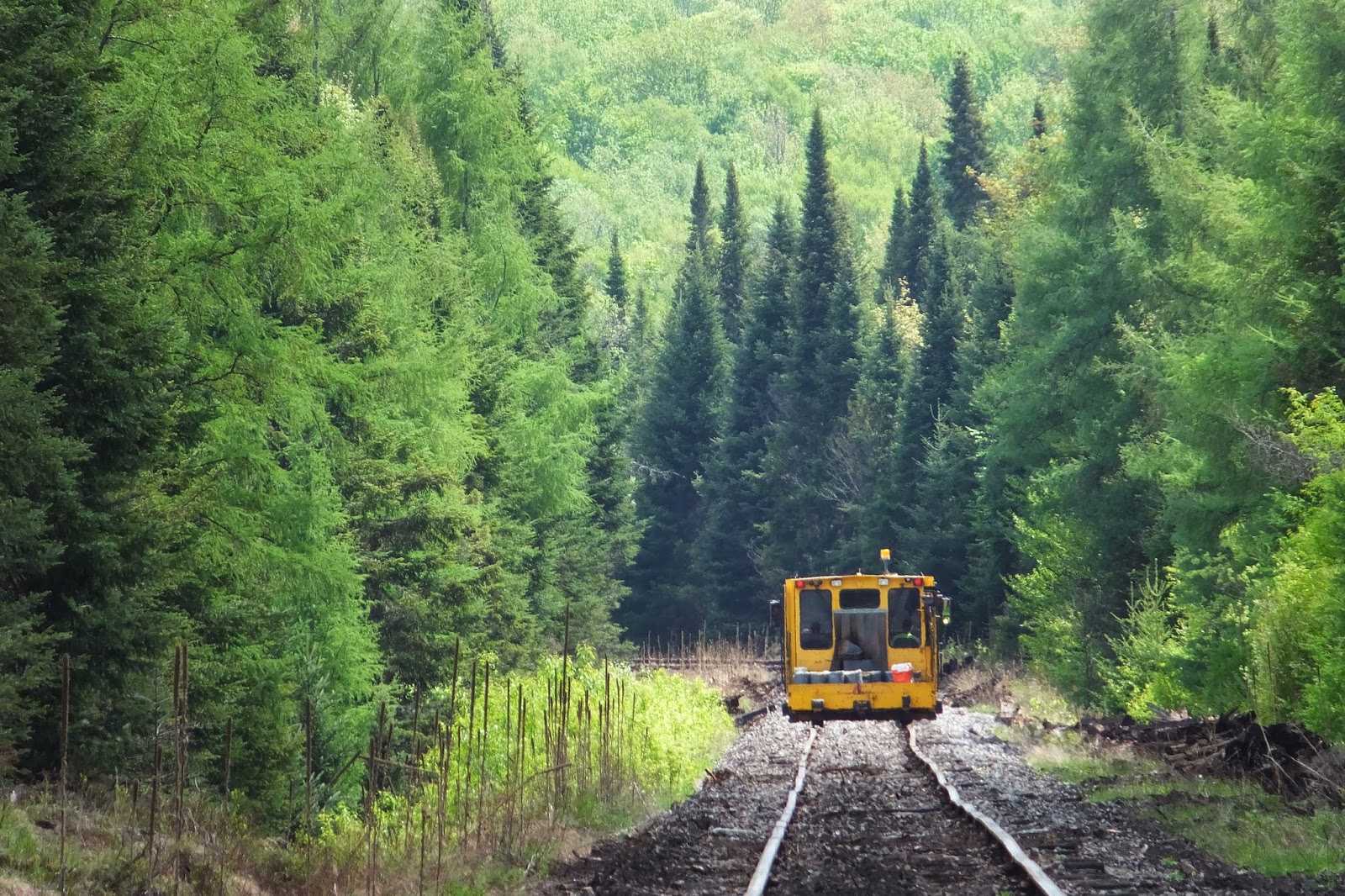 Merry@Syracuse: Adirondack Scenic Railroad Track: Work Near Carter Station