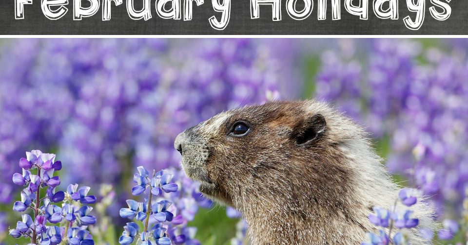 KinderGals: February Holidays: Groundhog's Day and President's Day