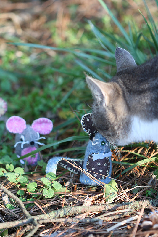 My Barefoot Farm: TGIF!