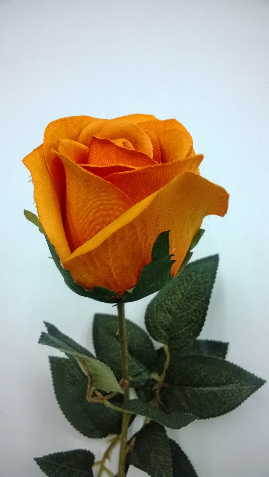 Rosa en boton X1 (H01203) | Pruebas