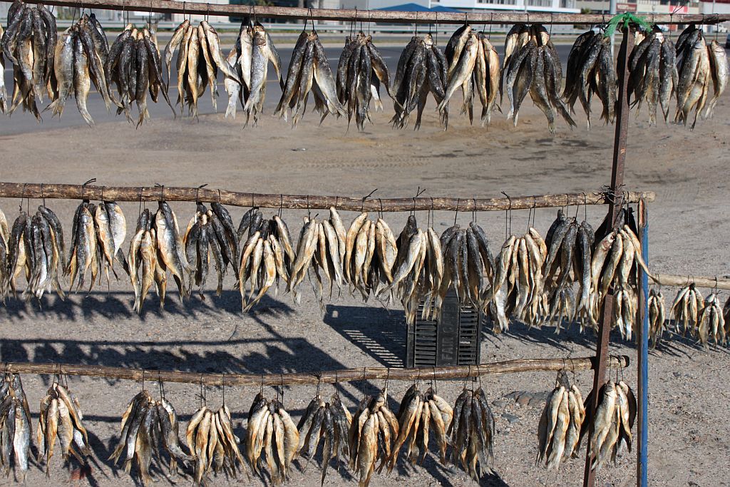Towerwater Aan De Breede: Bokkoms in Table Bay