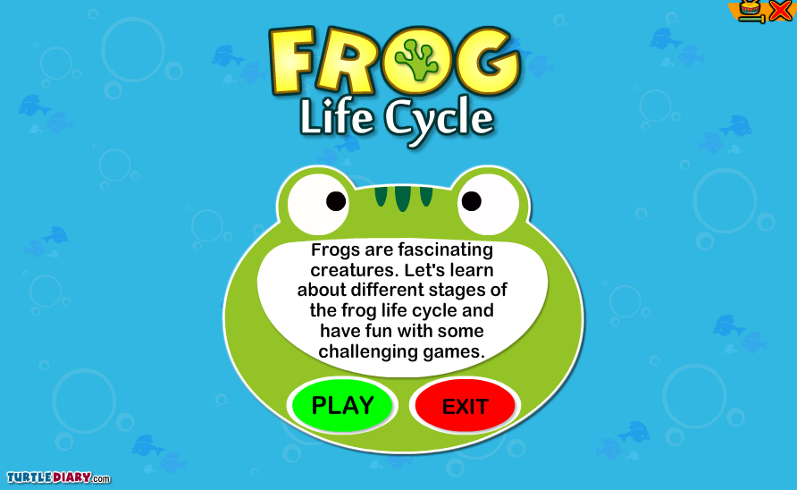 Junior and Senior Infants Blog: Life Cycle of the Frog