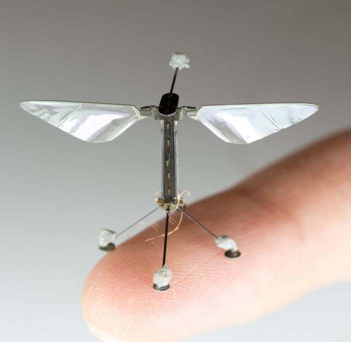 RoboBees yang diproduksi oleh Harvard Microrobotics Lab - Gestrik
