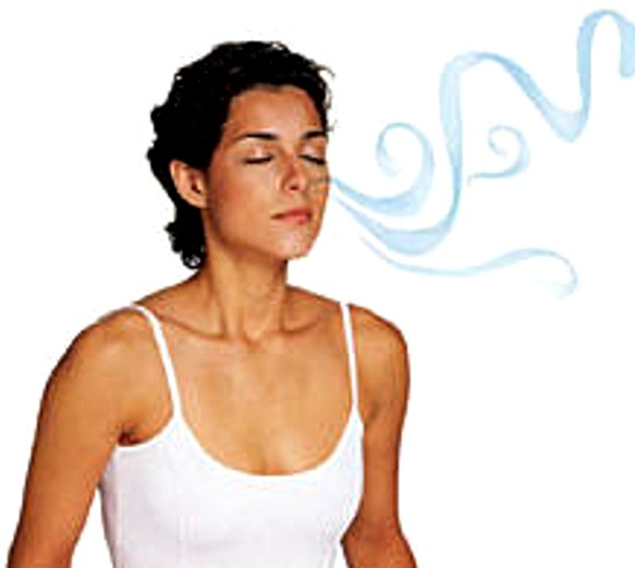 Respirar - JungleKey.pt Imagem