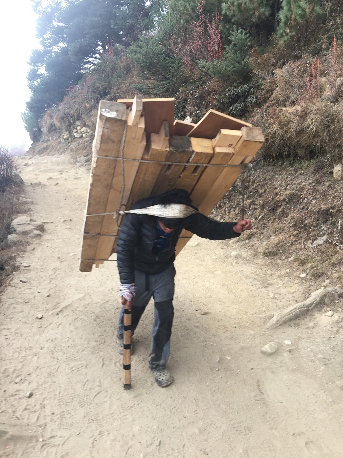 Lukla Porter Guide: Everest base camp porter life is hard.