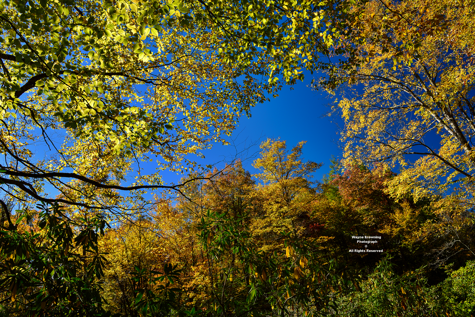 The High Knob Landform: The High Knob Landform