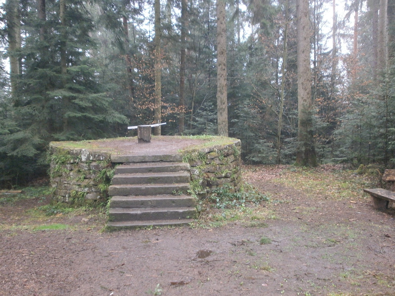 Der Schwarzwald und seine Natur: Die nördliche Runde des Premium ...