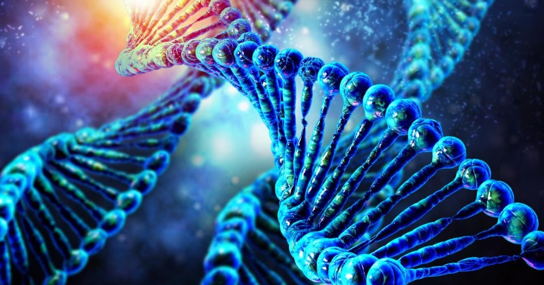 Los genes que regulan la personalidad Los genes que regulan la personalidad