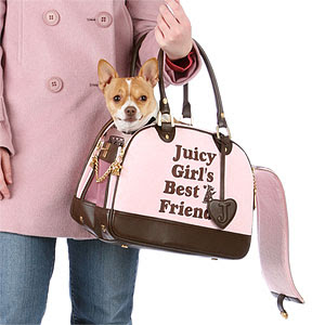 Lau says...: Perritos en bolsa