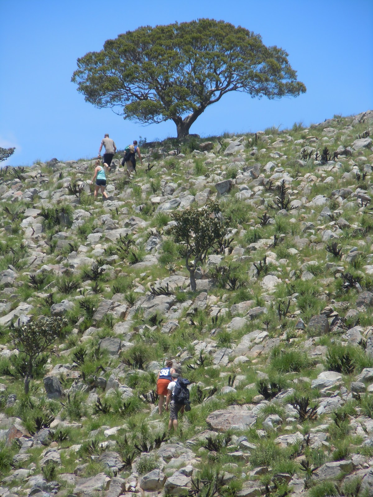 Sawubona! Hello!: Mahamba Gorge