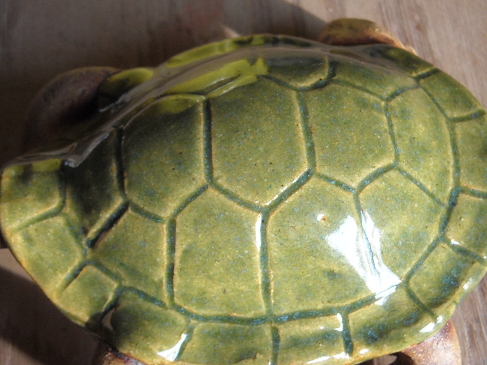 Acorn Pottery: turtles and texture