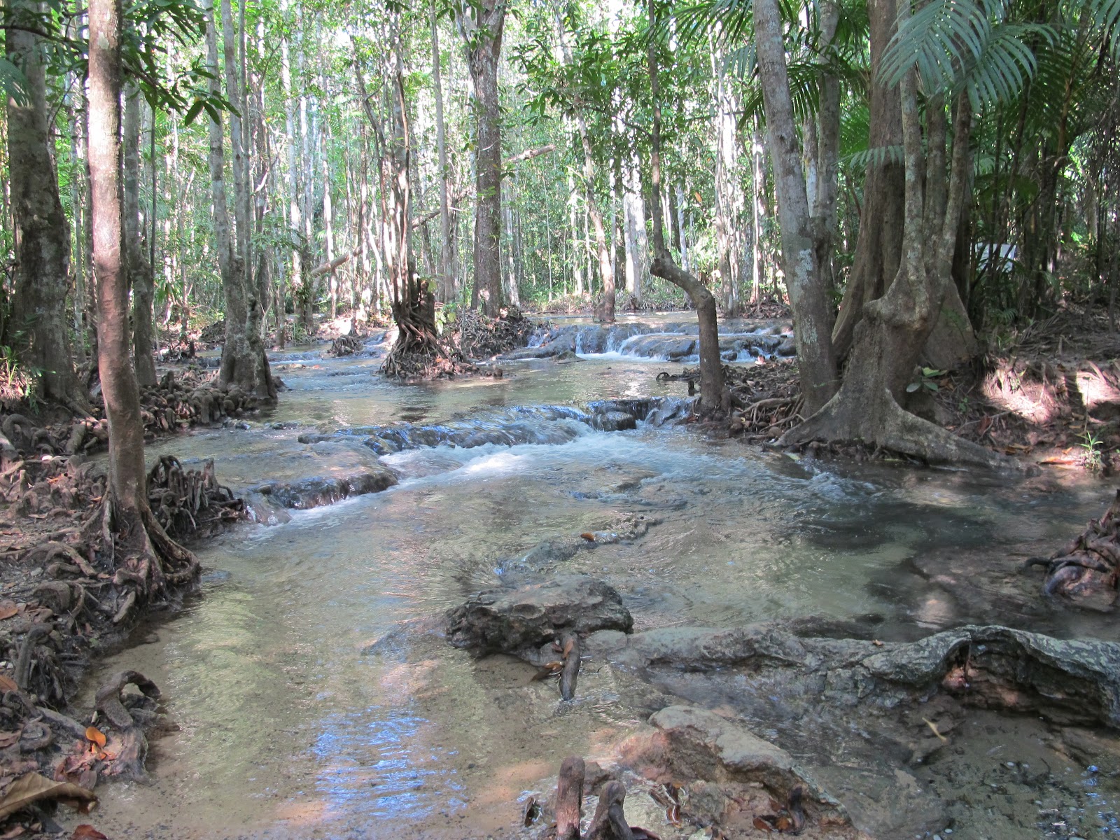 It's what i do: Krabi & Pak Bara