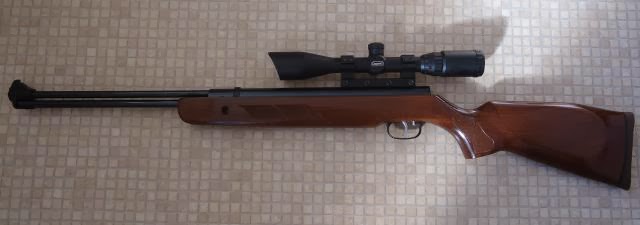 AIR RIFLES AND SHOOTING: WEIHRAUCH HW57 .22 REVIEW