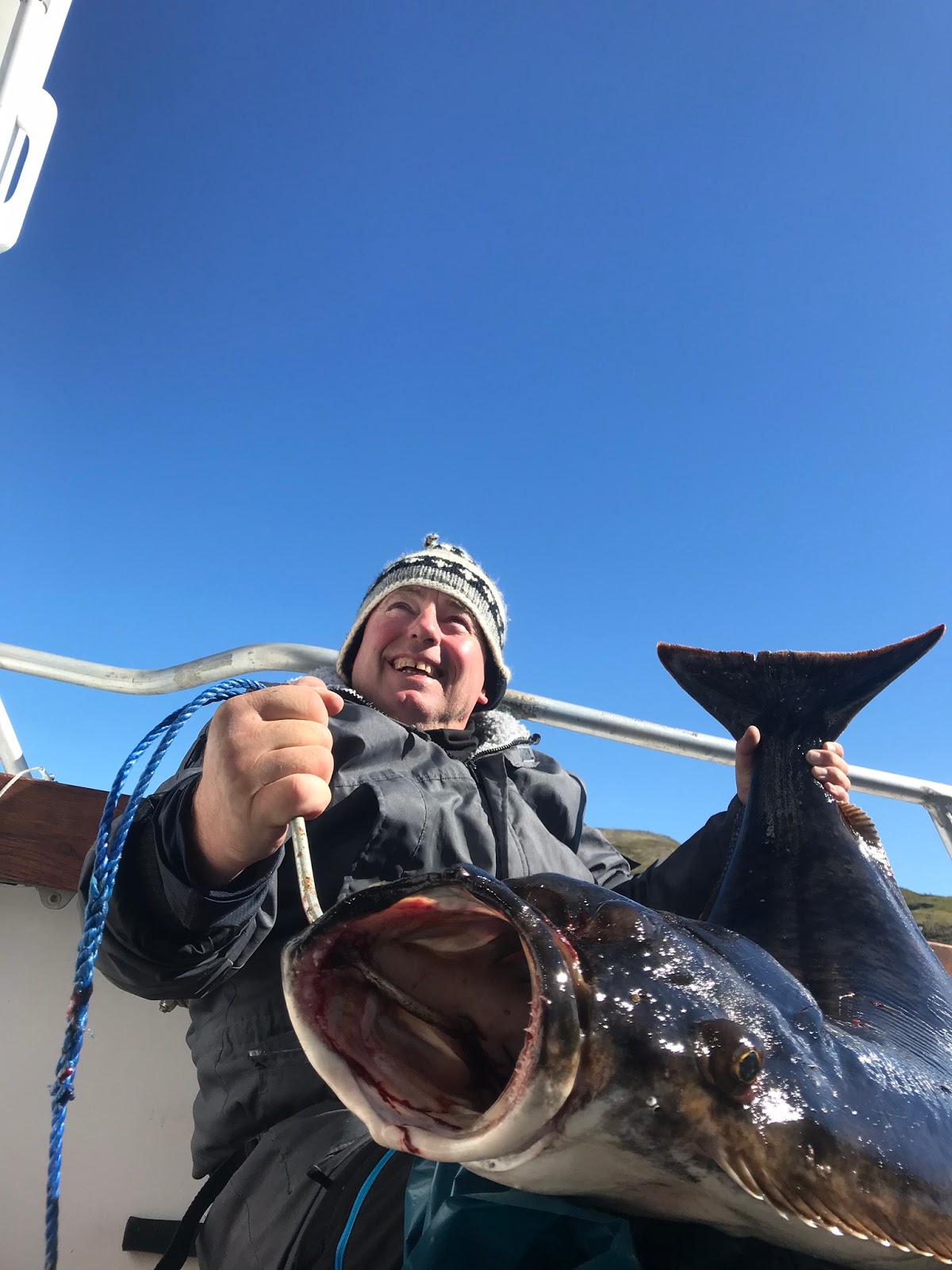 ARCTIC SAFARI - With Mortens halibut page: HALIBUT KINGDOM STILL RULES